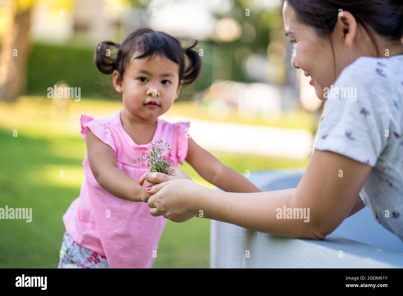 Closeup shot of a Southeast Asian baby girl with her mother Stock Photo ...