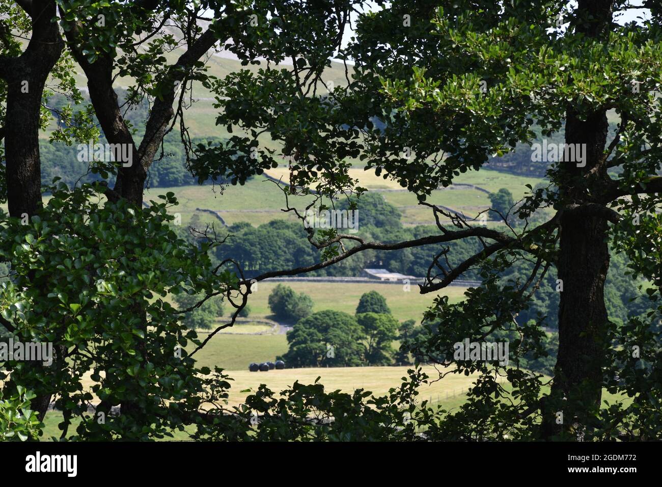 Yorkshire Dales countryside scene Stock Photo - Alamy