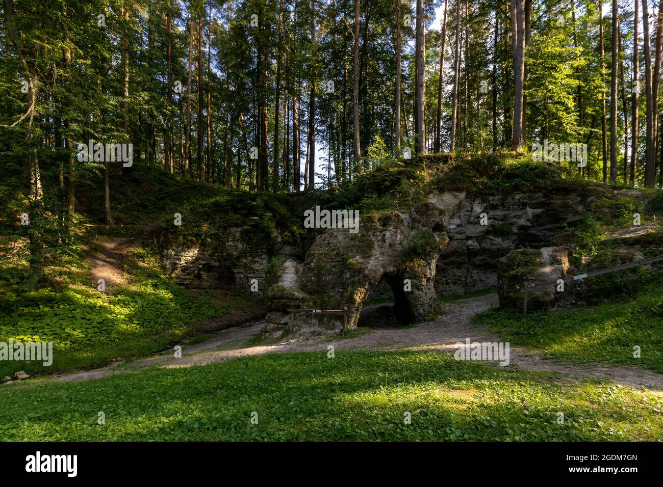 Bright nature photography with lots of bright green tones. Natural ...
