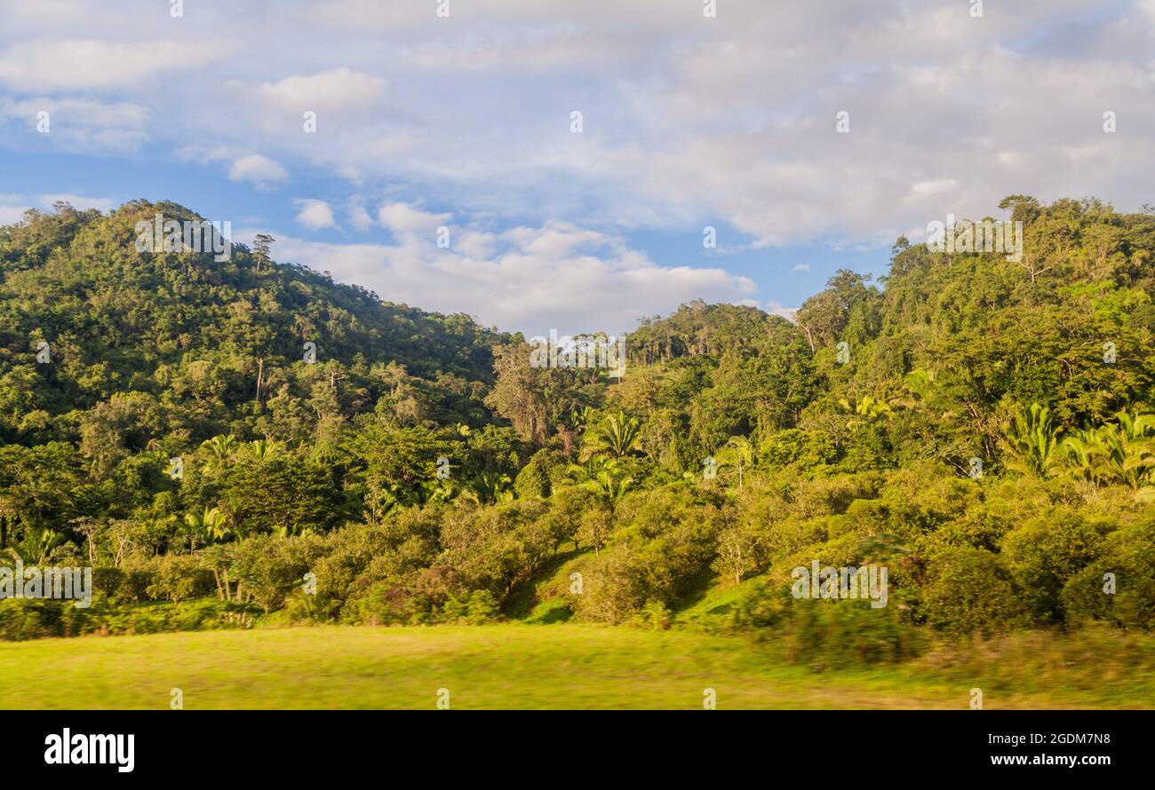 Green hills belize hi-res stock photography and images - Alamy