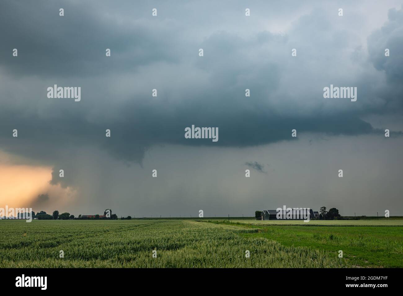 Storm cloud with heavy rain during sunset Stock Photo - Alamy