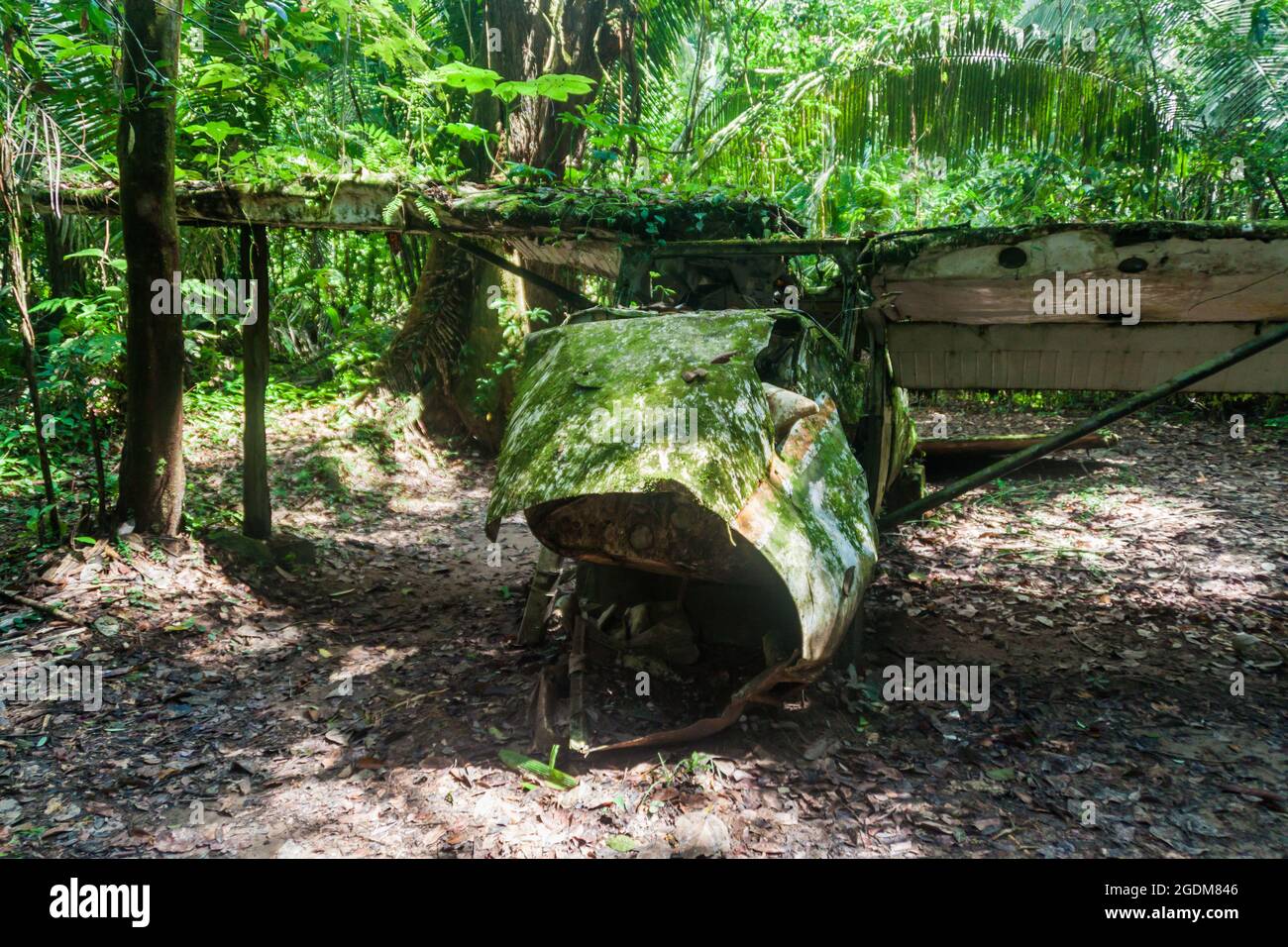Plane wreck in Cockscomb Basin Wildlife Sanctuary, Belize. This plane ...