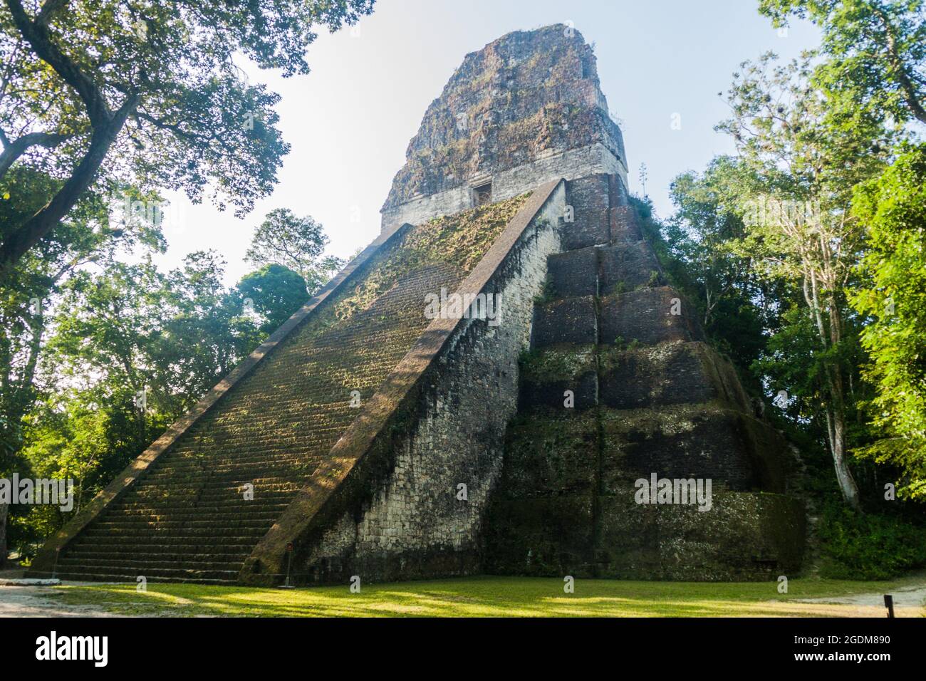 Temple V at the archaeological site Tikal, Guatemala Stock Photo - Alamy
