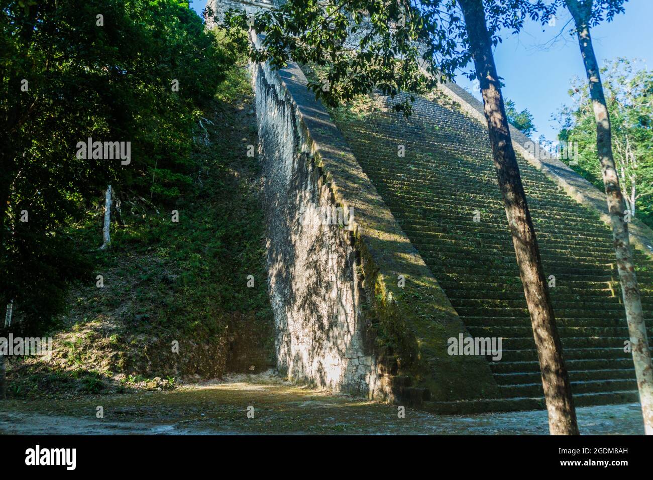 Stairway of Temple V at the archaeological site Tikal, Guatemala Stock ...