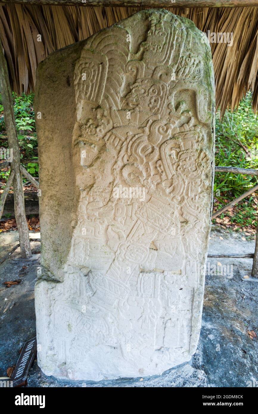 Stela at the archaeological site Tikal, Guatemala Stock Photo - Alamy
