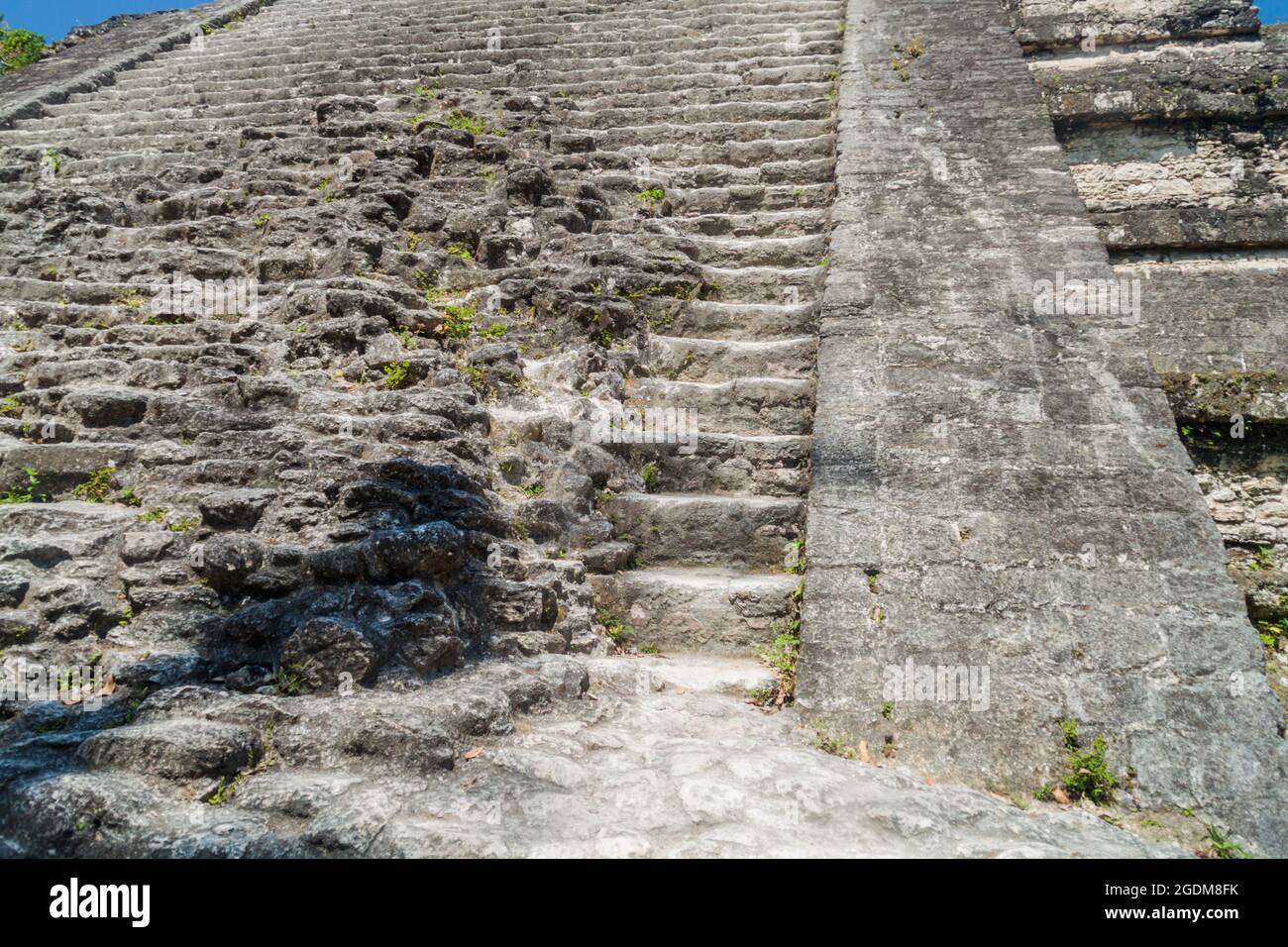 Stairway of Talud-Tablero temple at the archaeological site Tikal ...