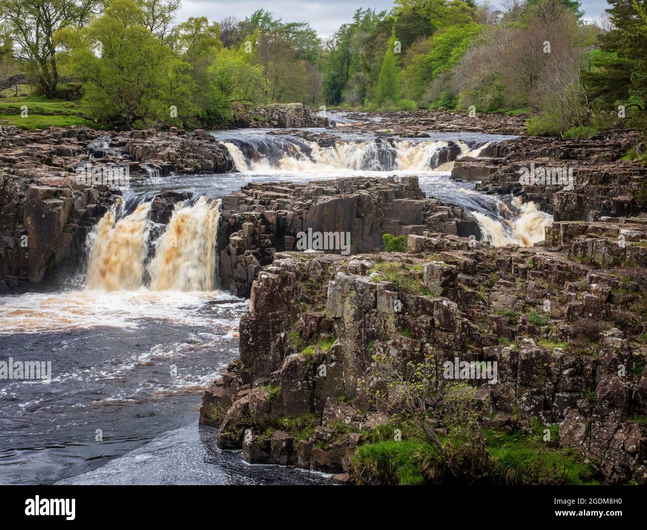 Low Force waterfall, County Durham, UK Stock Photo - Alamy