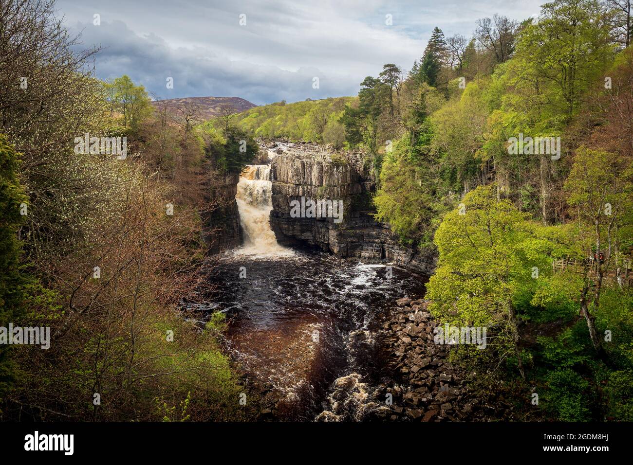 High Force waterfall, County Durham, UK Stock Photo - Alamy