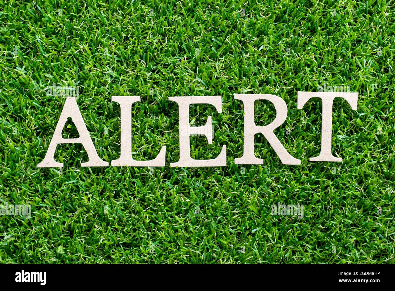 Wood letter in word alert on artificial green grass background Stock ...
