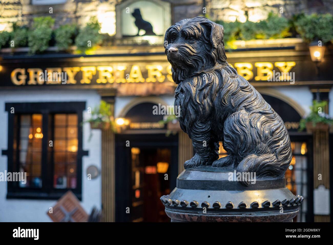 Greyfriars bobby story hi-res stock photography and images - Alamy