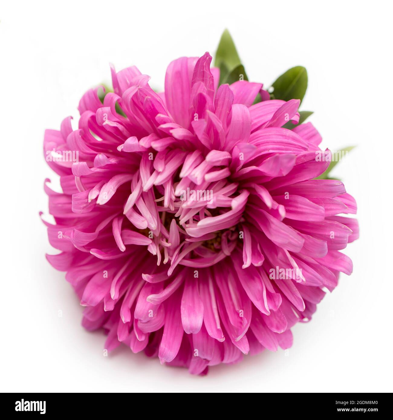 Multi place Cut Out Stock Images & Pictures - Alamy