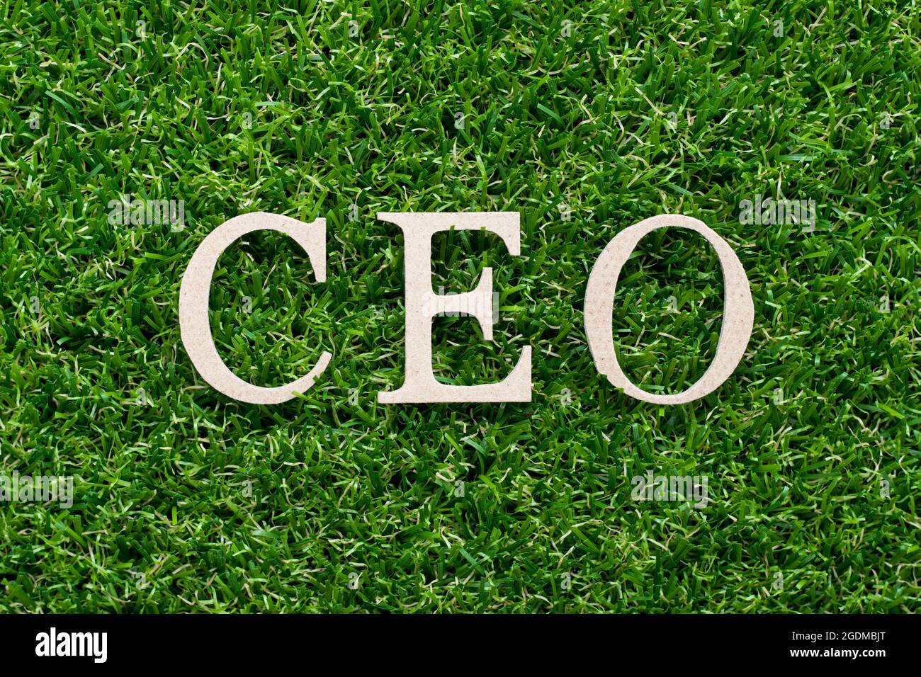 Wood alphabet in word CEO (Abbreviation of Chief Executive Officer) on ...