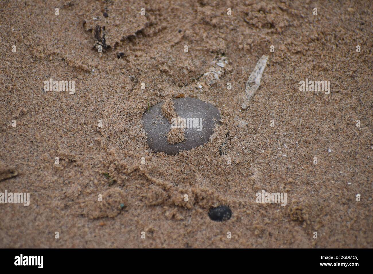 Pebble and sandy beach hi-res stock photography and images - Alamy