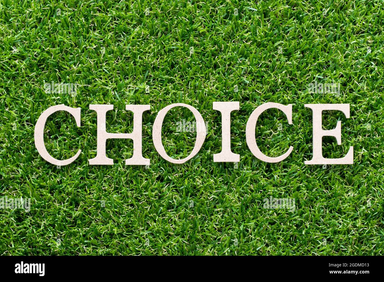 Wood alphabet in word choice on artificial green grass background Stock ...