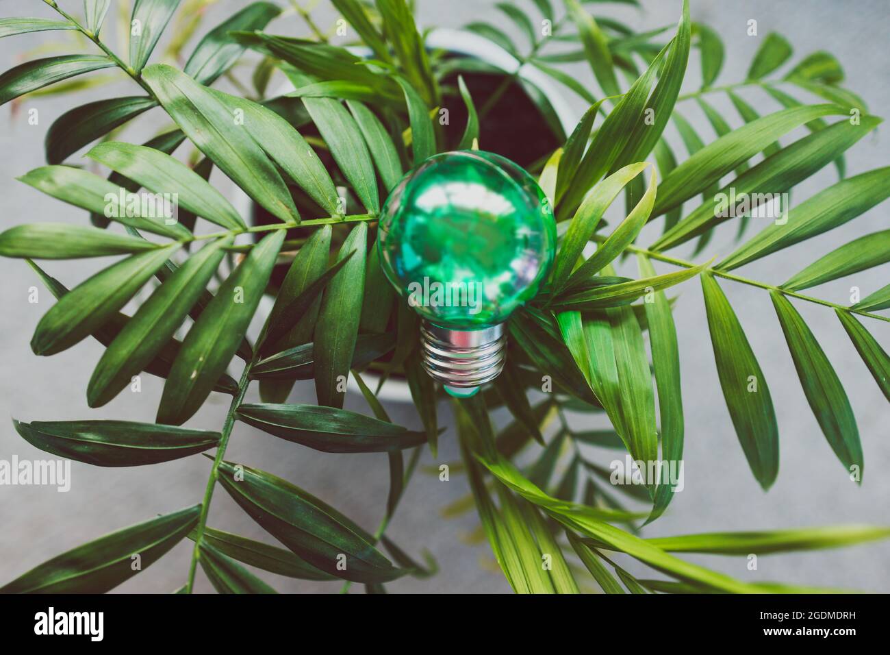 green economy and ideas for the environment conceptual image, green ...