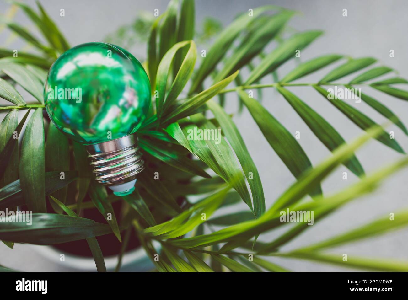 green economy and ideas for the environment conceptual image, green ...