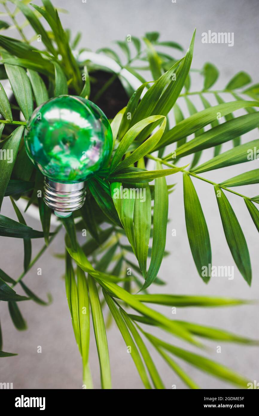 green economy and ideas for the environment conceptual image, green ...