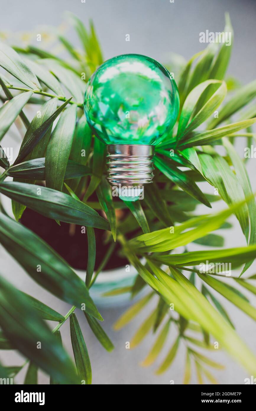 green economy and ideas for the environment conceptual image, green ...