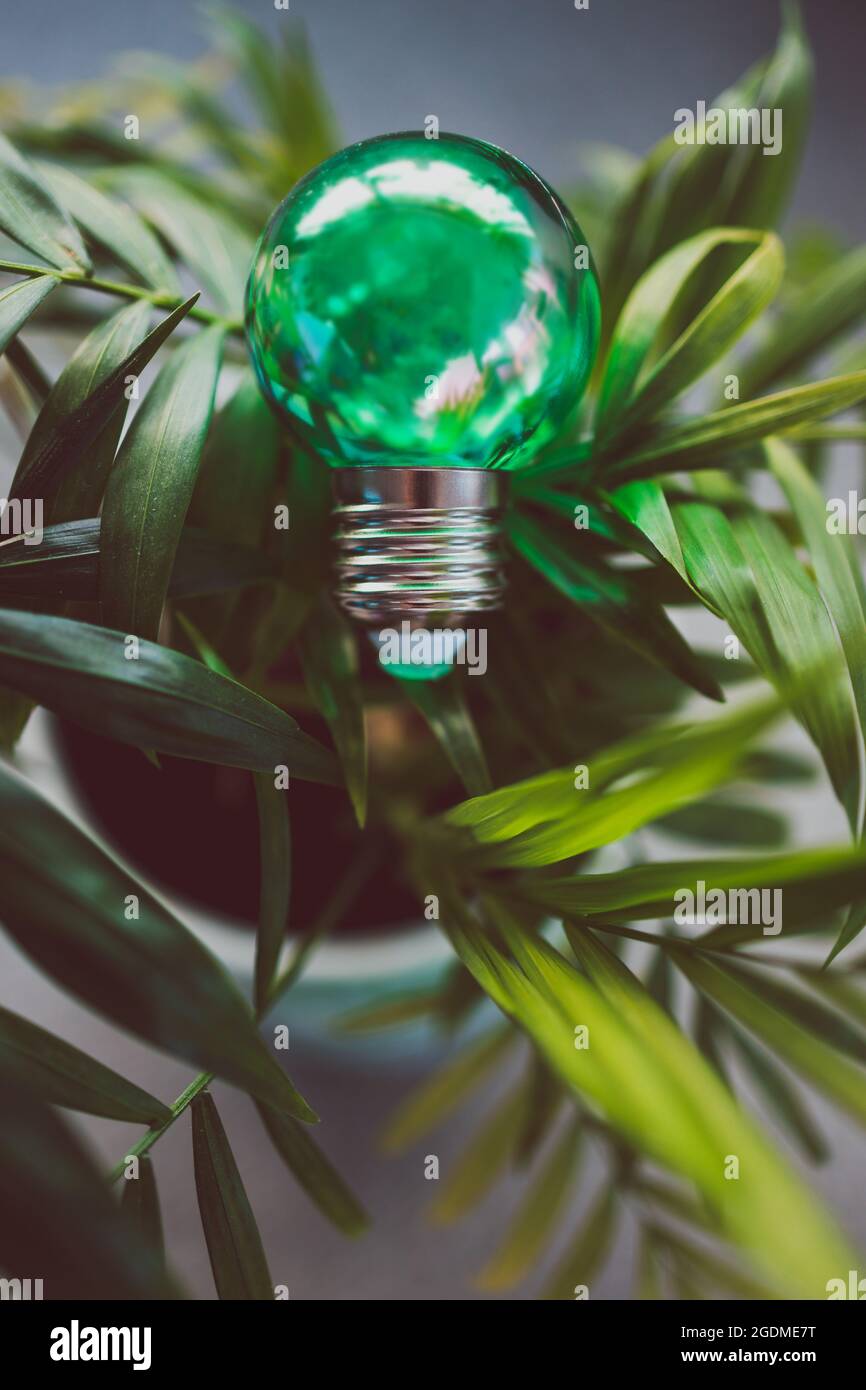 green economy and ideas for the environment conceptual image, green ...