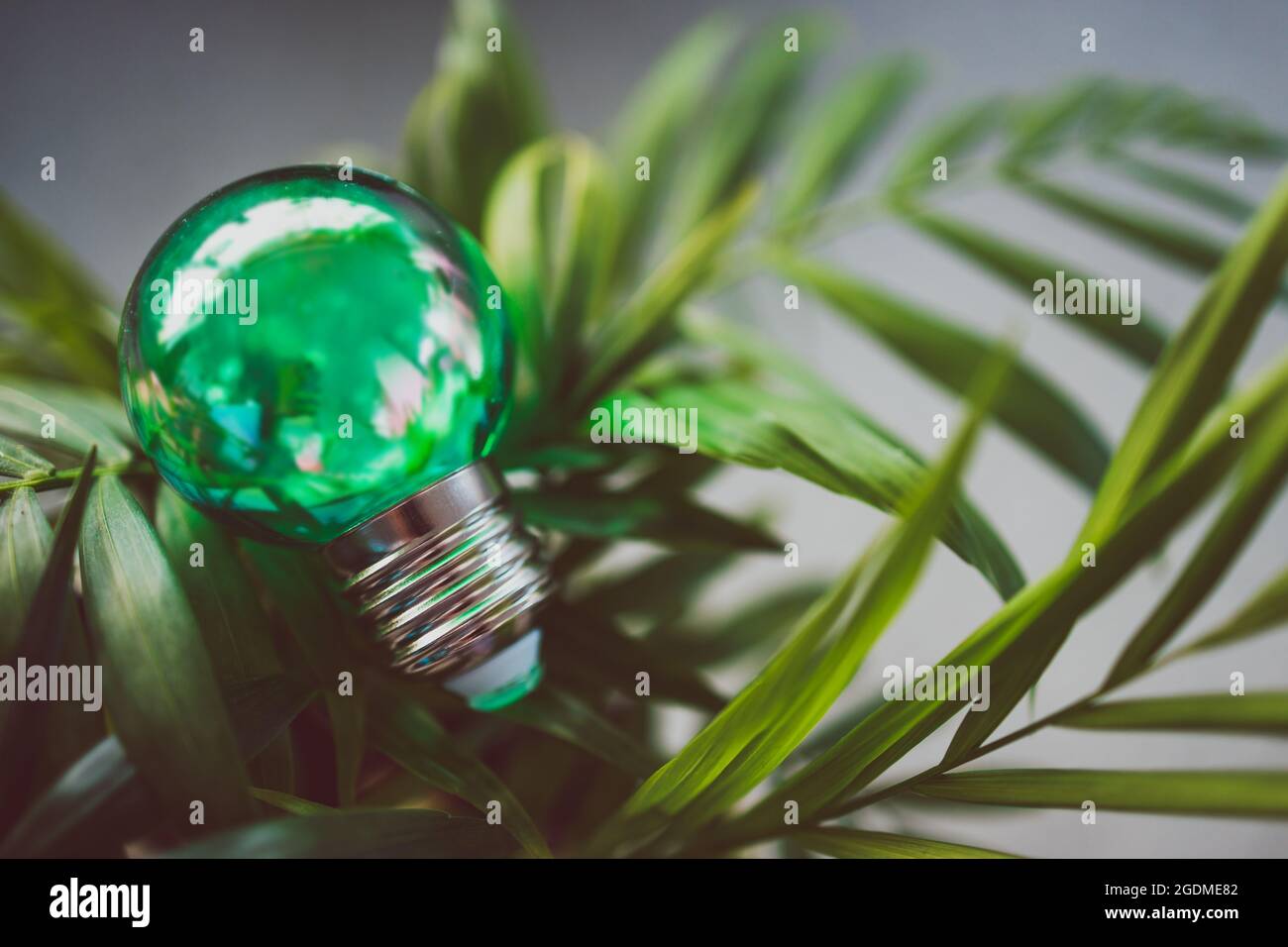 green economy and ideas for the environment conceptual image, green ...