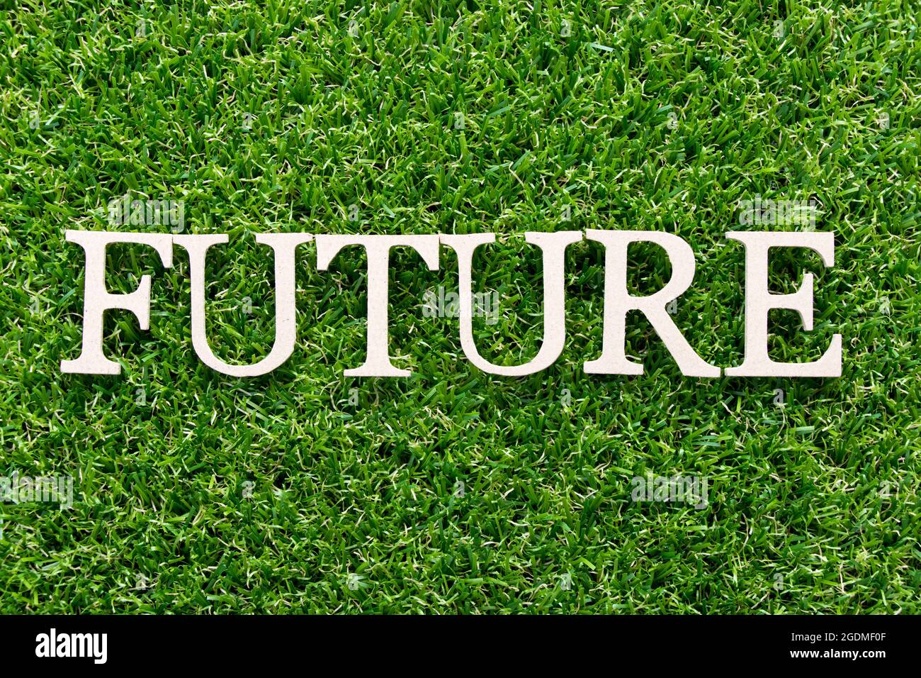 Wood alphabet in word future on artificial green grass background Stock ...