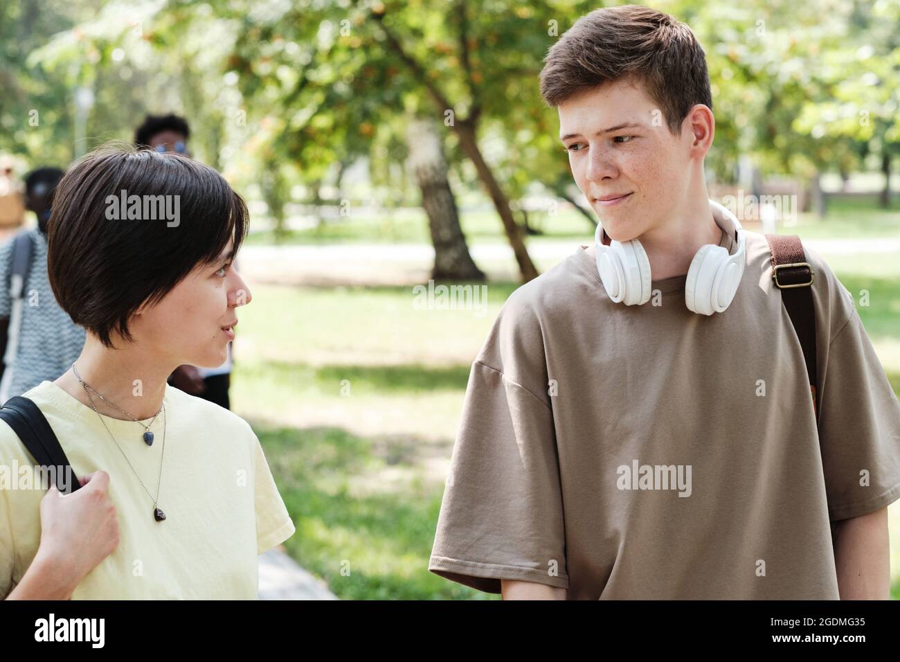 Two friends talking to each other while walking together in the park ...