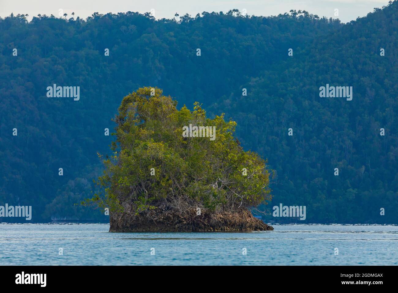 Small tropical island, and seascape, weathered by sea water, covered ...