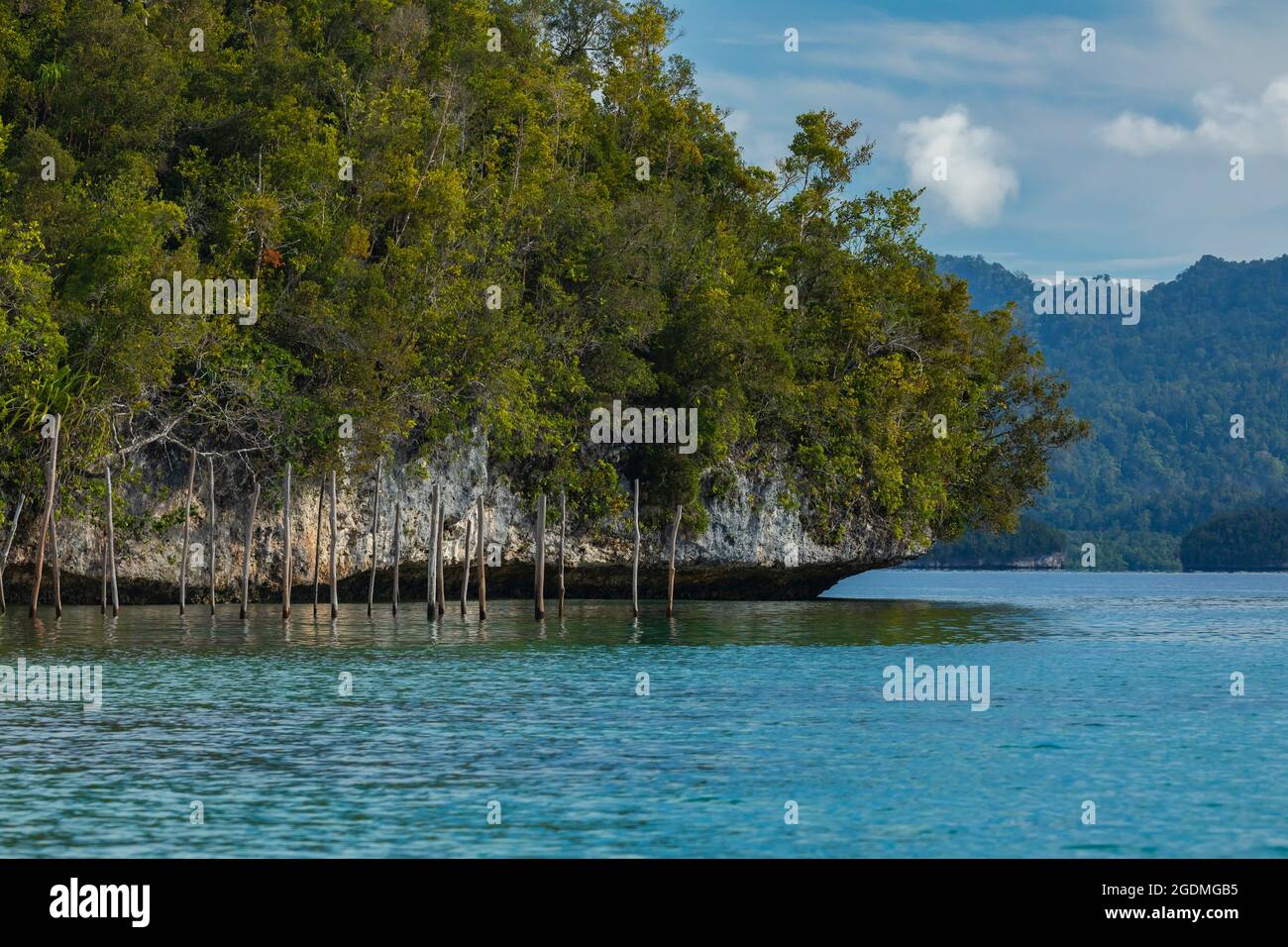 Natural seascape and dense tropical jungle growing on small rock islets ...