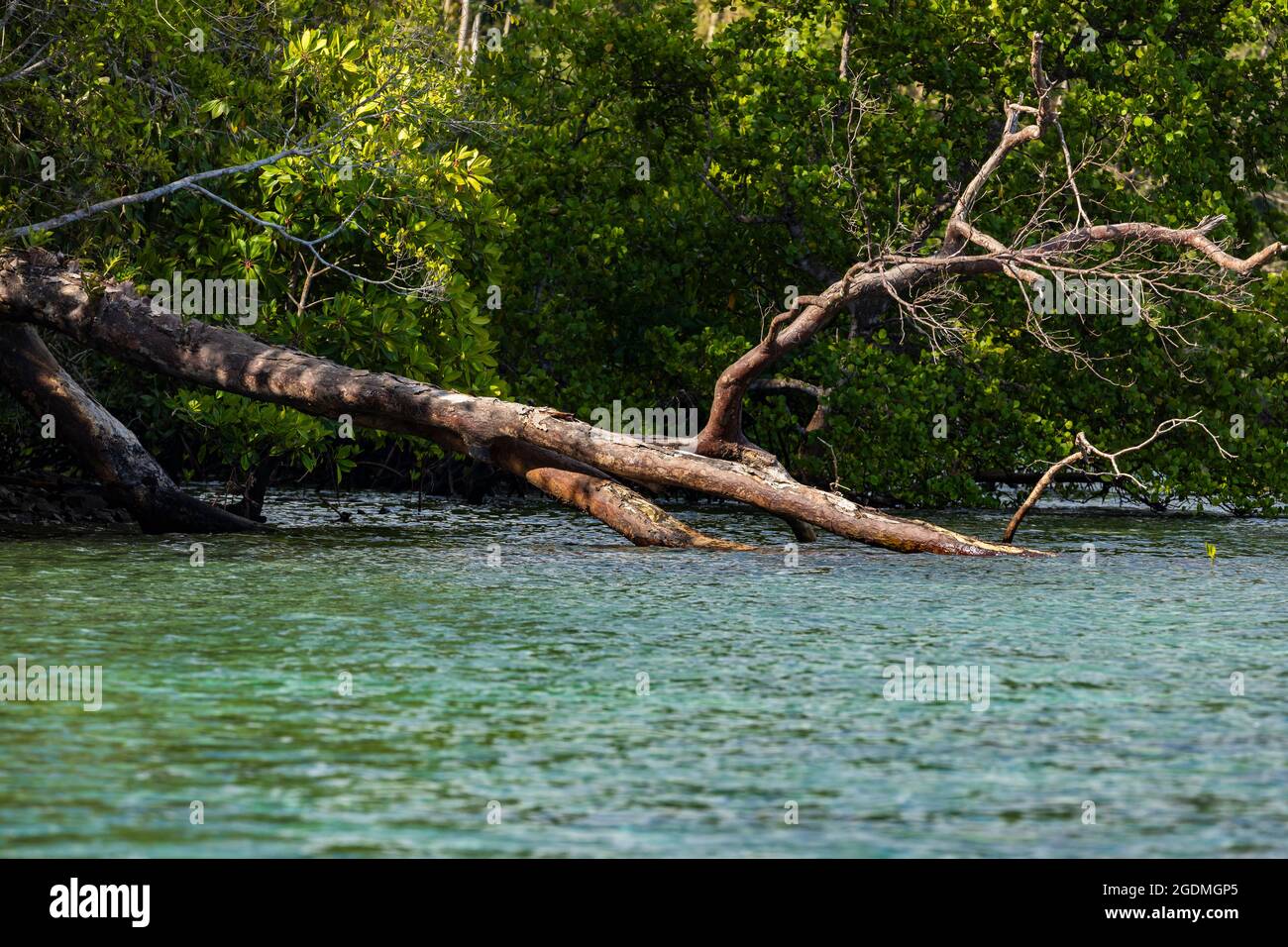 Yensrai hi-res stock photography and images - Alamy