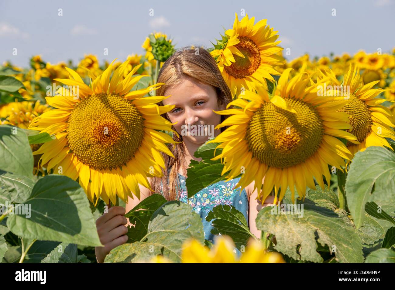 Girl with the smile surrounded with bright blooming sunflowers ...