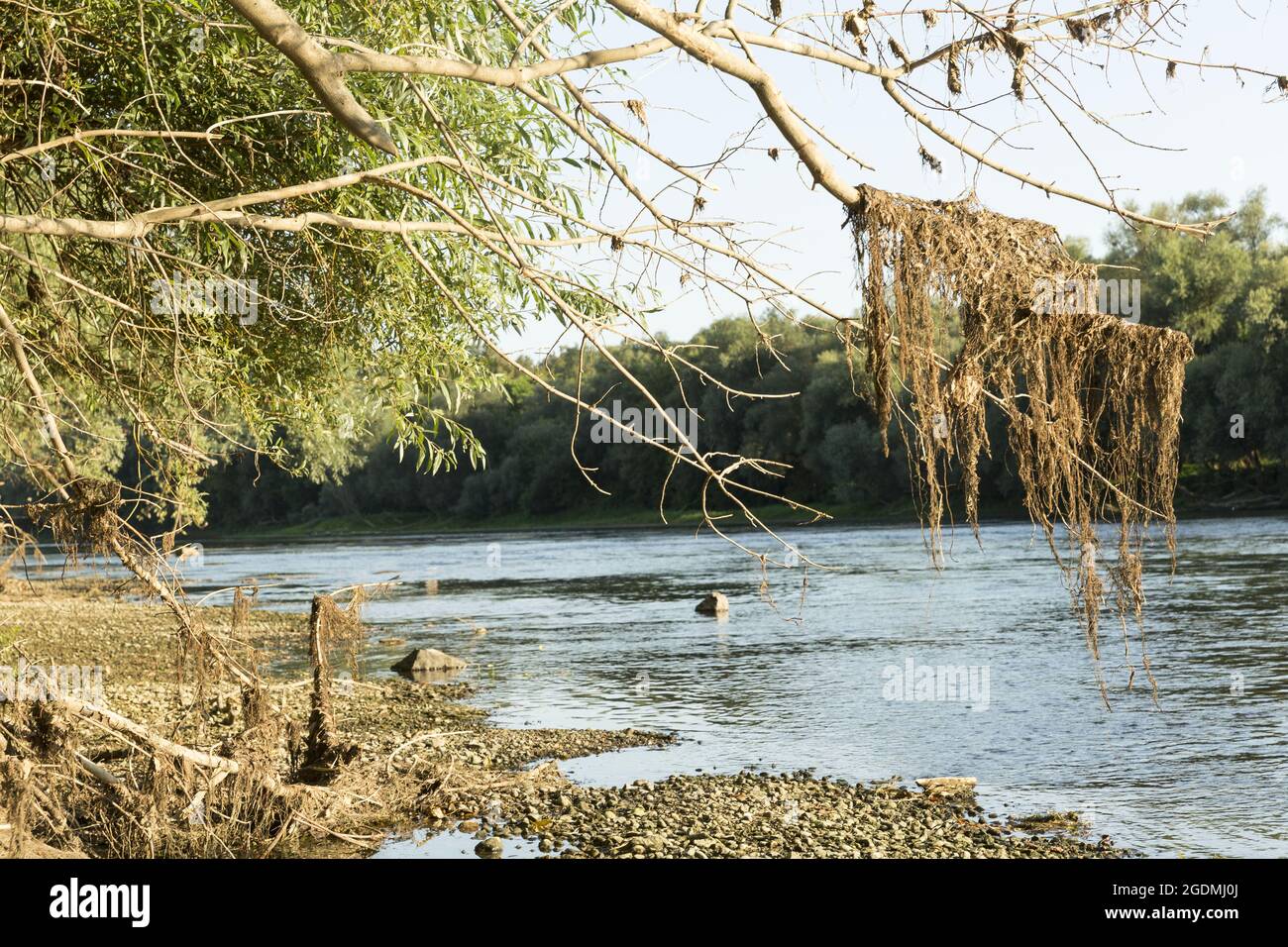 River Kupa in Croatia Stock Photo - Alamy