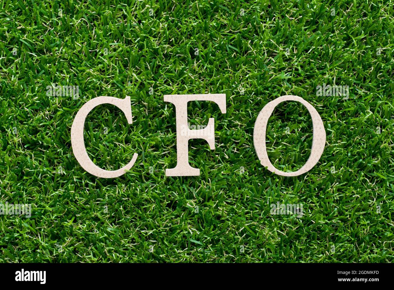 Wood alphabet in word CFO (Abbreviation of Chief Financial Officer) on ...