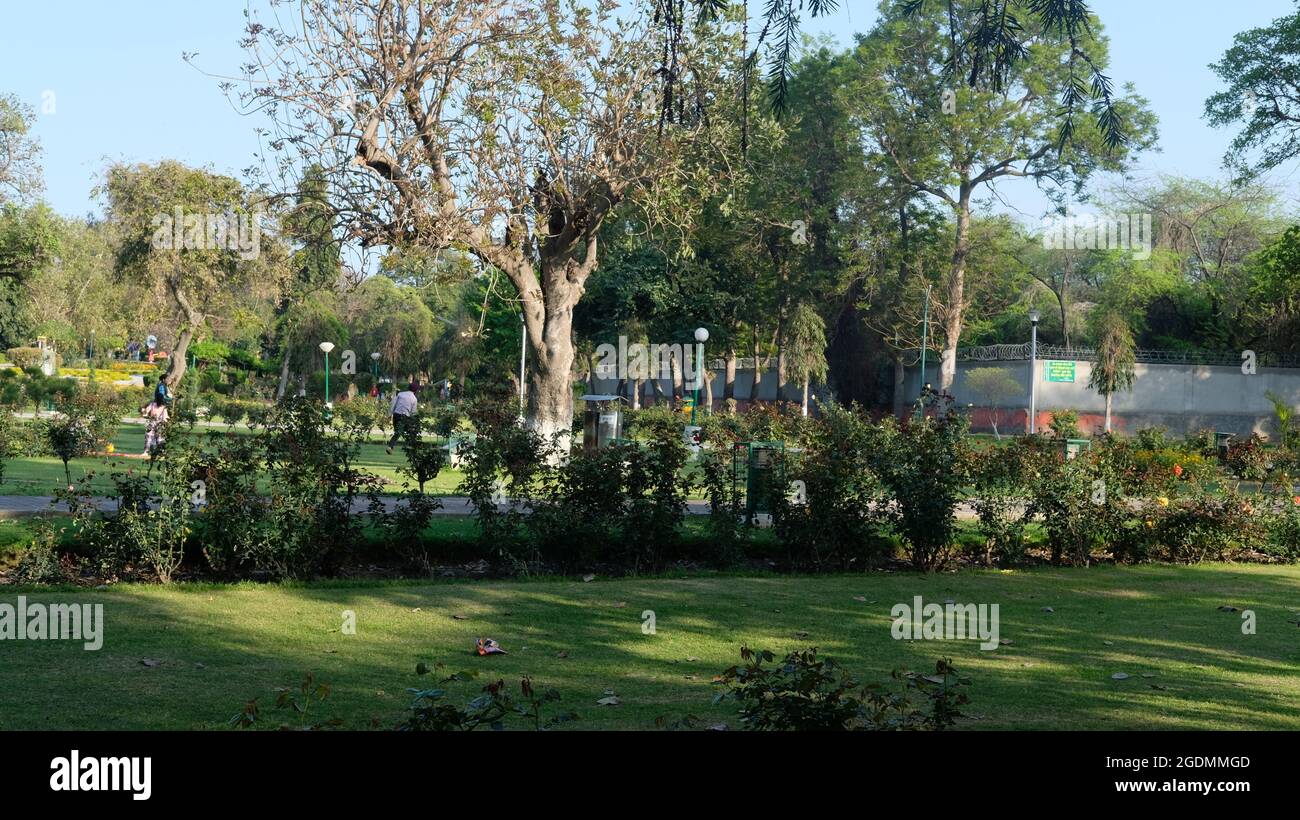 Grass and tress hi-res stock photography and images - Alamy