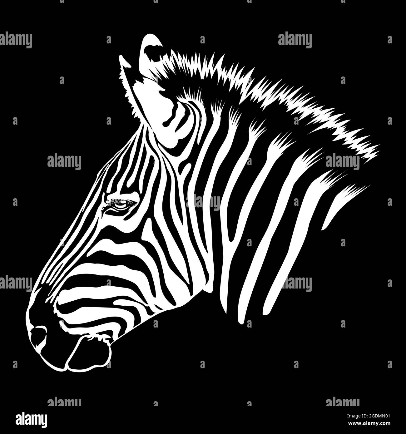 Zebra vector. Wild animals of the prairie, zebra head on a black ...