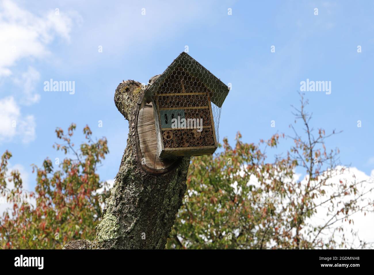 How to build a bug hotel hi-res stock photography and images - Alamy