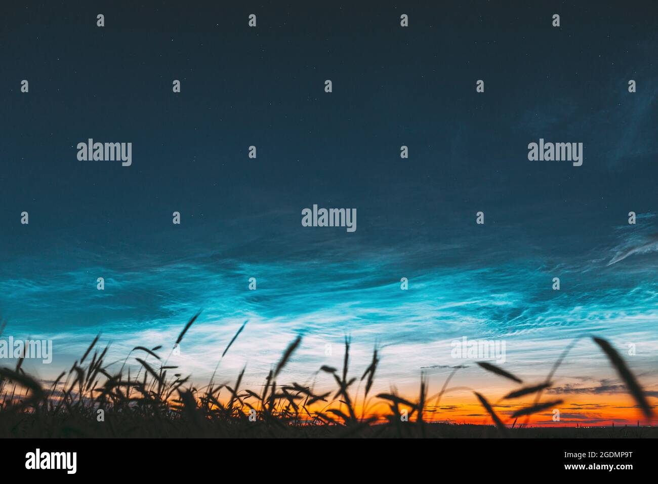 Time Lapse 4K Night Starry Sky With Glowing Stars Above Countryside ...