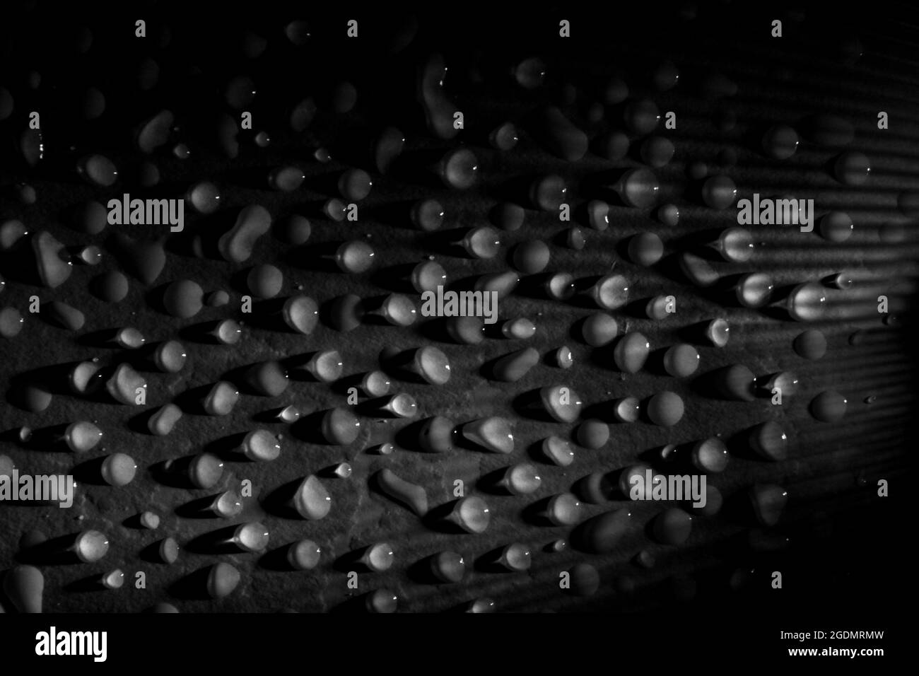 Shady backdrop hi-res stock photography and images - Alamy