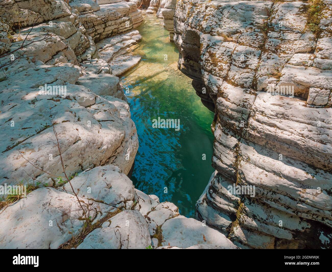 Bright green river with clear water flows into the gorge between the ...