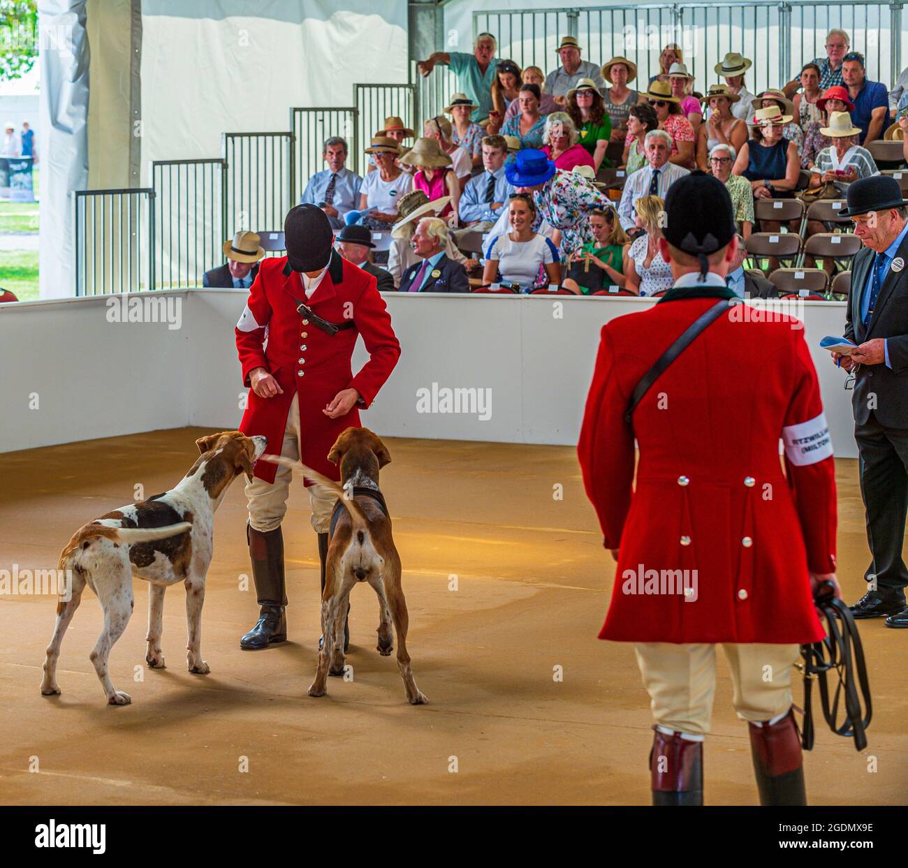 The Festival of Hunting, the largest one-day gathering of hounds, for a ...