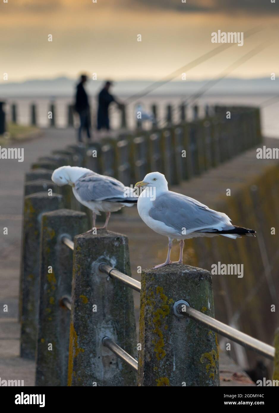 Silloth promenade hi-res stock photography and images - Alamy