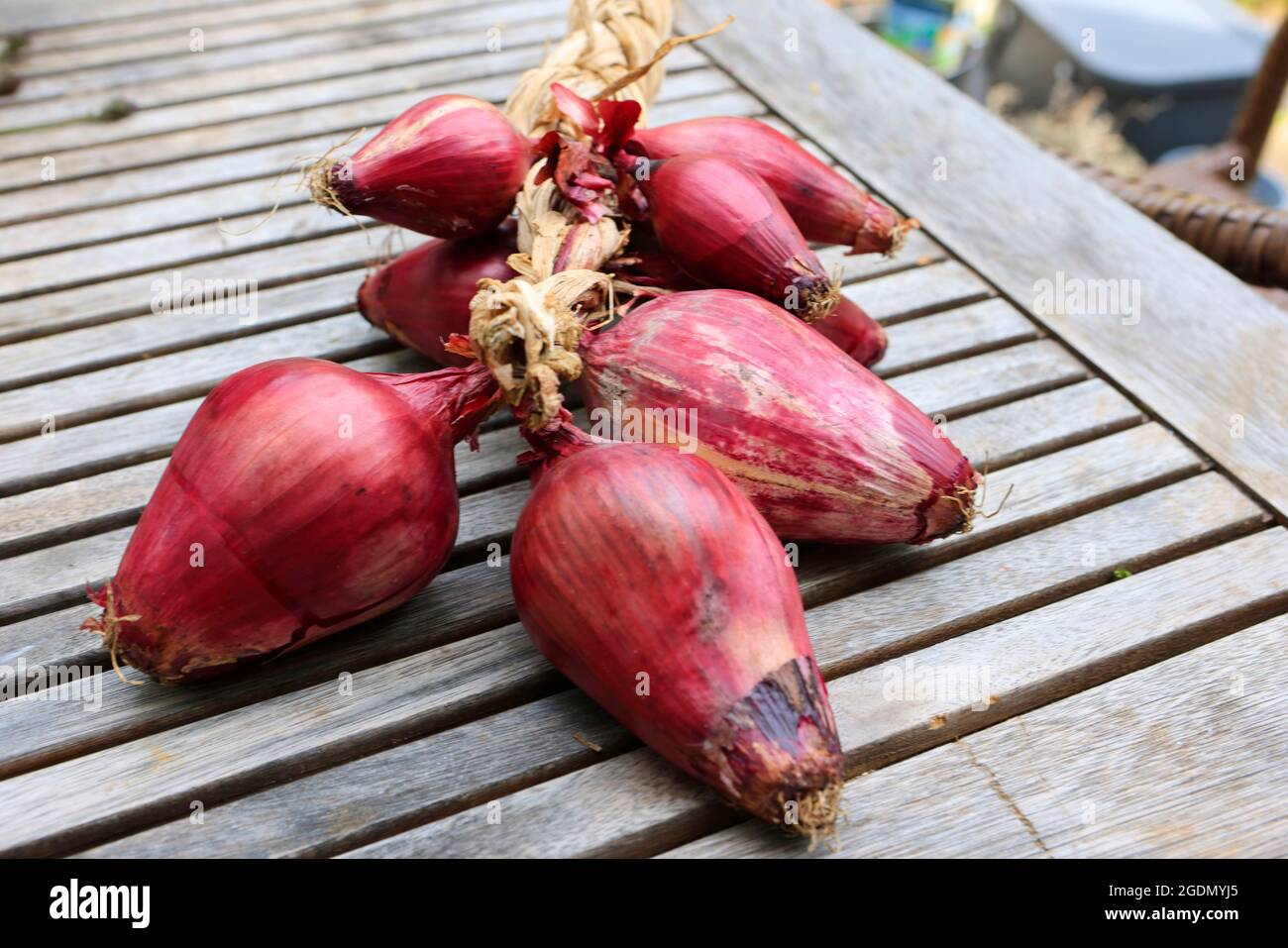 A bunch of Italian red tropea onions Stock Photo - Alamy