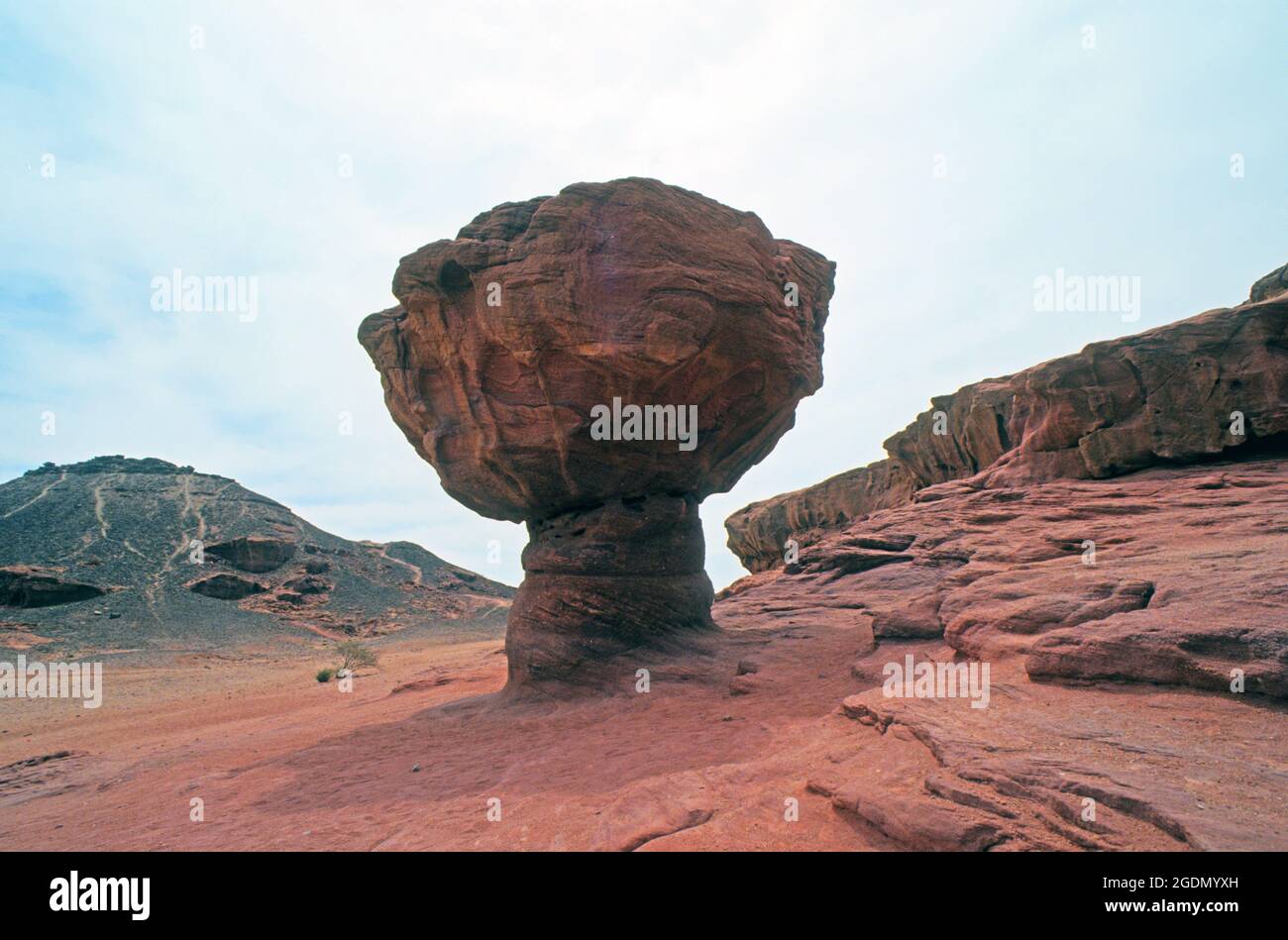 The mushroom rock at Timna valley, Timna park, Israel Stock Photo - Alamy