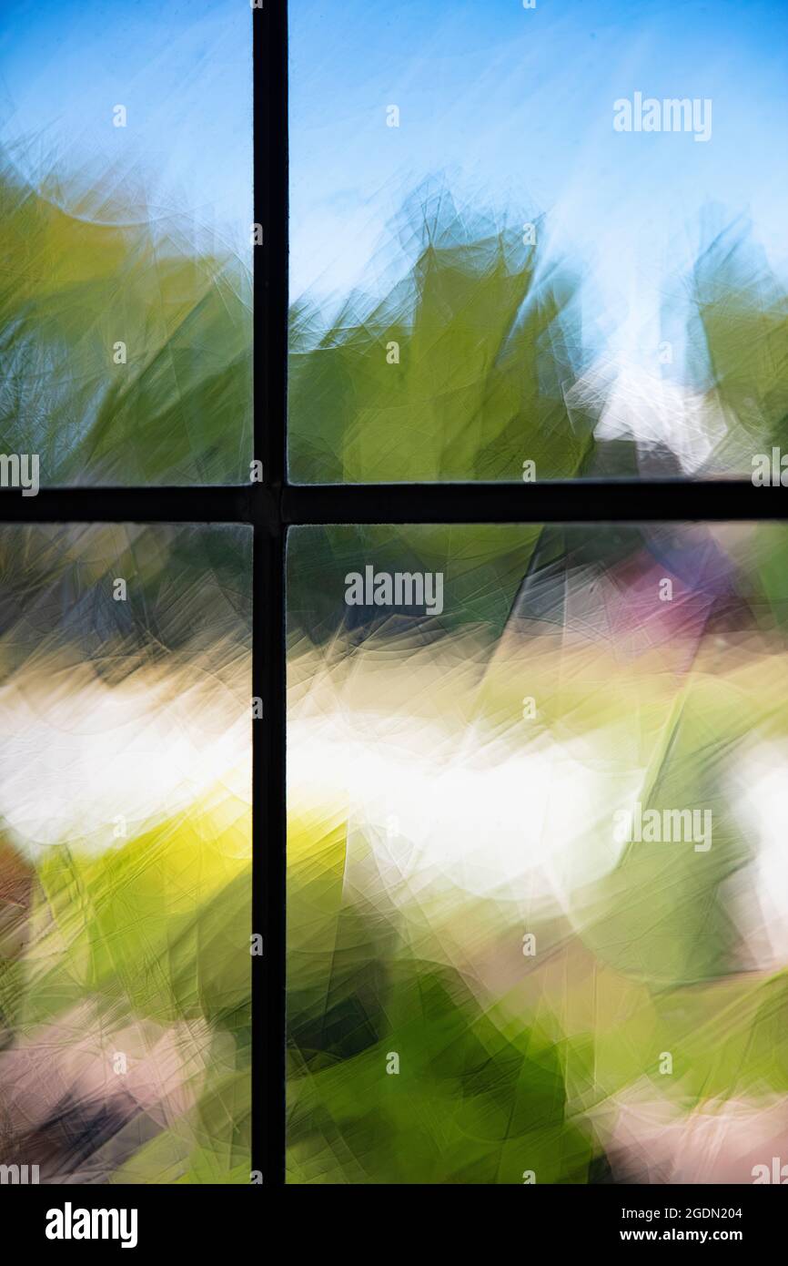 Patterns greenery hi-res stock photography and images - Alamy