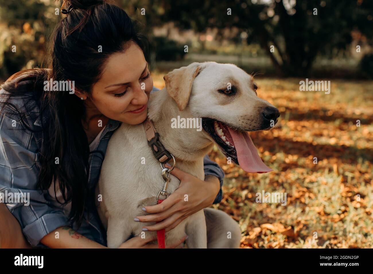 Happy woman hugging her Labrador puppy outdoors Stock Photo - Alamy