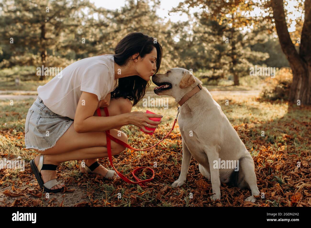 Happy woman kissing fun with her Labrador puppy outdoors Stock Photo ...
