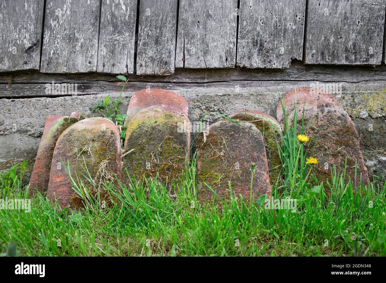 Grass tiles hi-res stock photography and images - Alamy