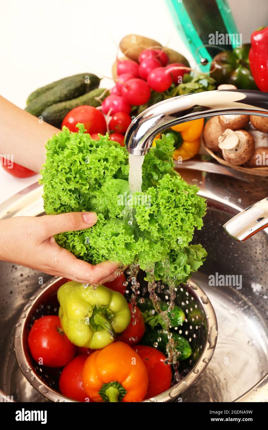 Woman's hands washing vegetables in sink in kitchen Stock Photo - Alamy