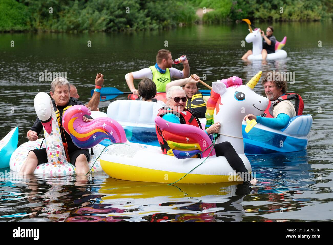 Photo of unicorn hi-res stock photography and images - Alamy