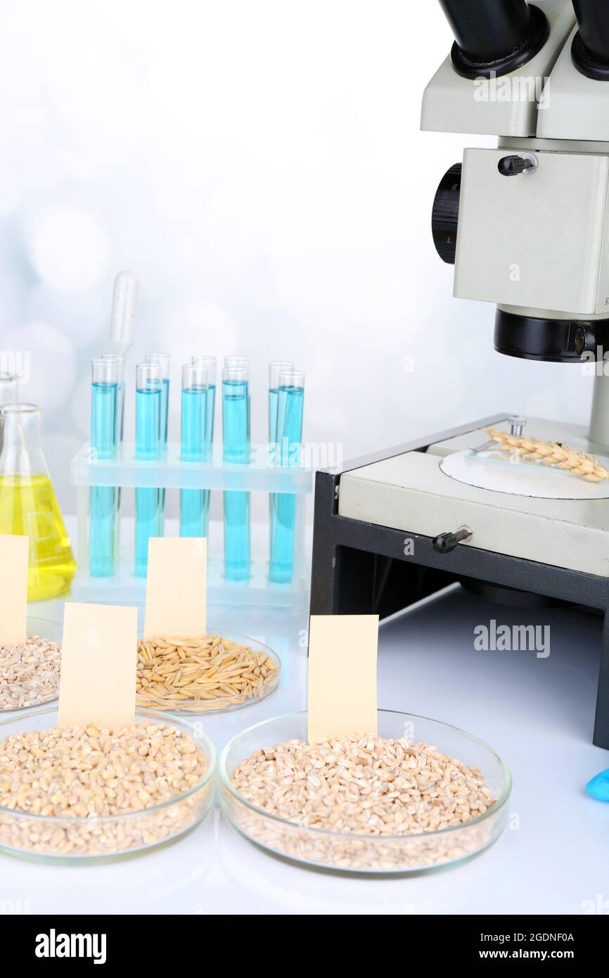 Microbiological testing for food quality at biochemistry laboratory ...