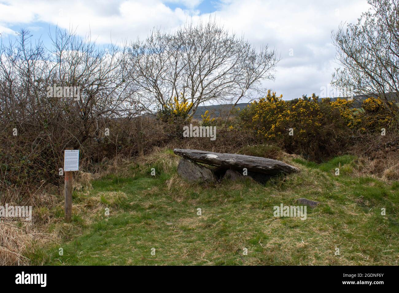 Irish wedge tomb, stone age monuments found in Ireland. The bronze age ...
